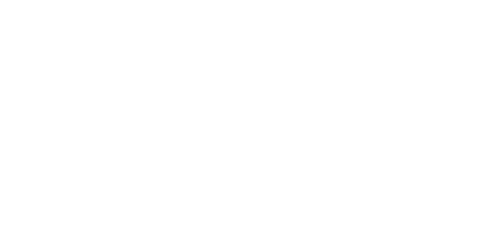 La Chance au Roy